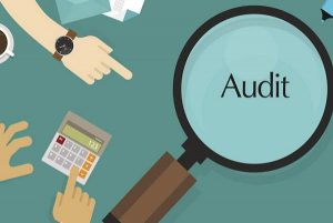 Why is statutory auditing essential to your company?